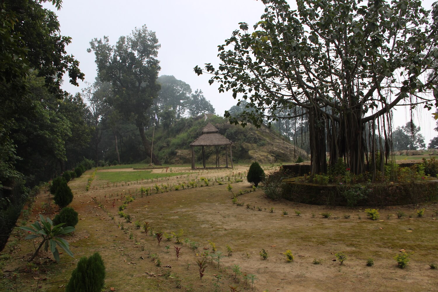 Sukrit Wellness - Re-energise Yourself